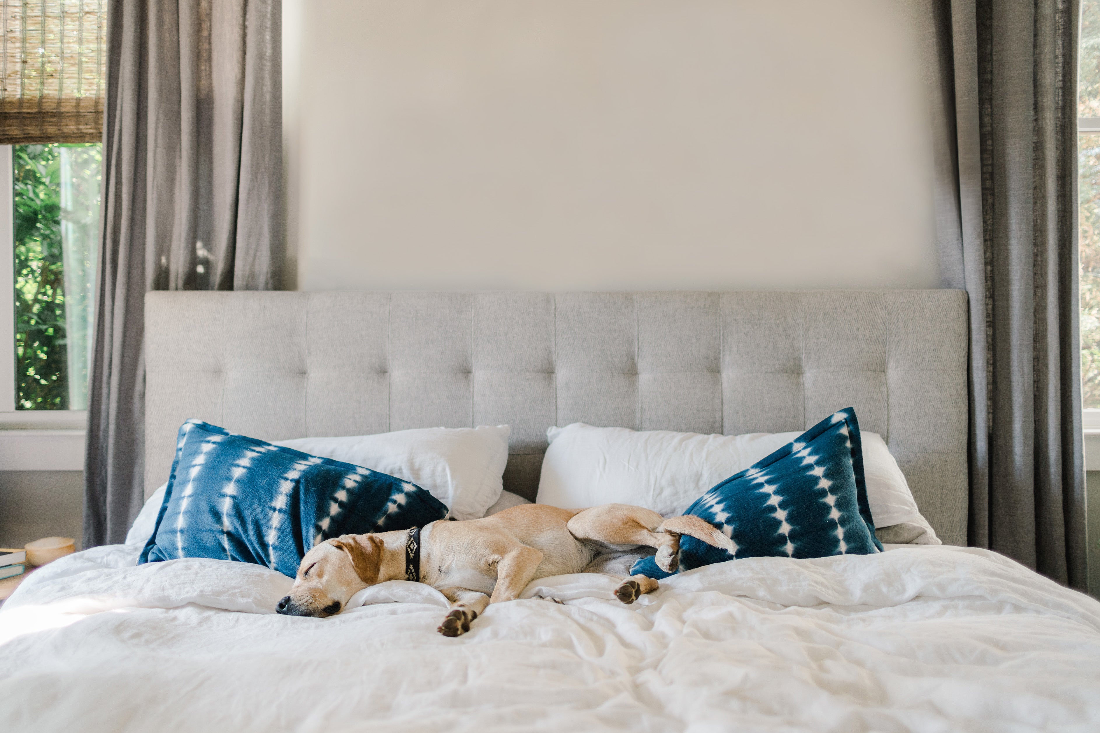 Rize Home: Reawakening the idea of comfort